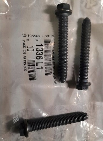 OE Citroen 1336L1 ŚRUBA KOŁNIERZOWA ROZRZĄDU - 11467572412 - oficjalne ...