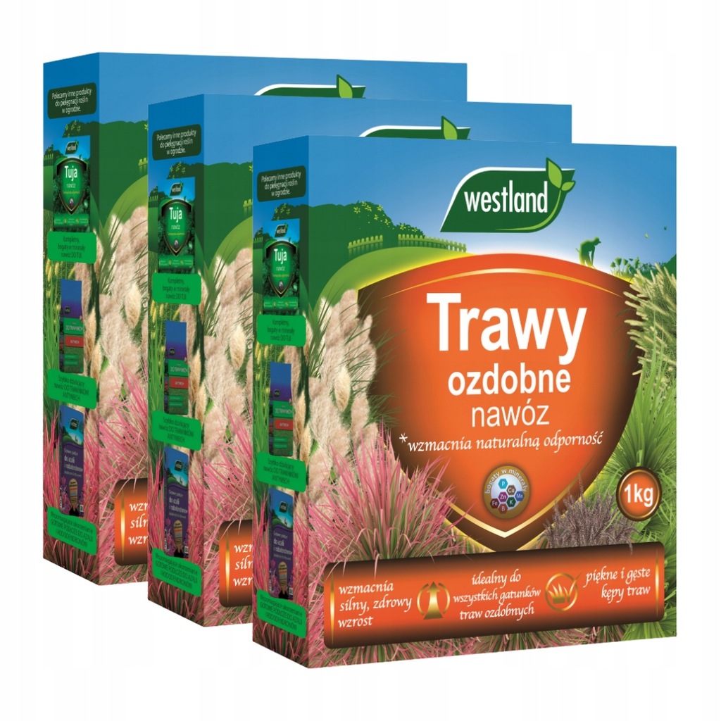 NAWÓZ DO BAMBUSÓW I TRAW OZDOBNYCH 1kg WESTLAND - 3 opakowania - 17370873323 - oficjalne ...