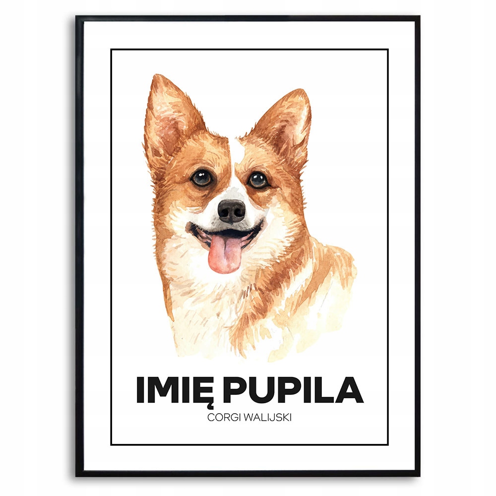 PLAKAT Duży XXL 120x60cm Pies CORGI WALIJSKI Rysunek Psa Pupil IMIĘ ...