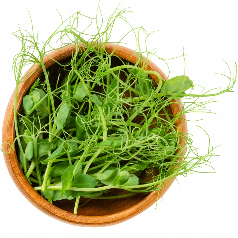 Baby Leaf - Pędy grochu cukrowego SUPER PRZEKĄSKA - 12827905635 - oficjalne archiwum Allegro