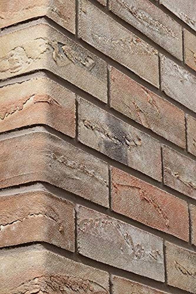 Płytki elewacyjne ELASTOLITH 99281 50x210 mm - 12551483171 - oficjalne ...