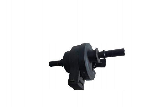 MEGANE II ZAWÓR ELEKTROMAGNETYCZNY 2580119A - 13770667552 - oficjalne ...