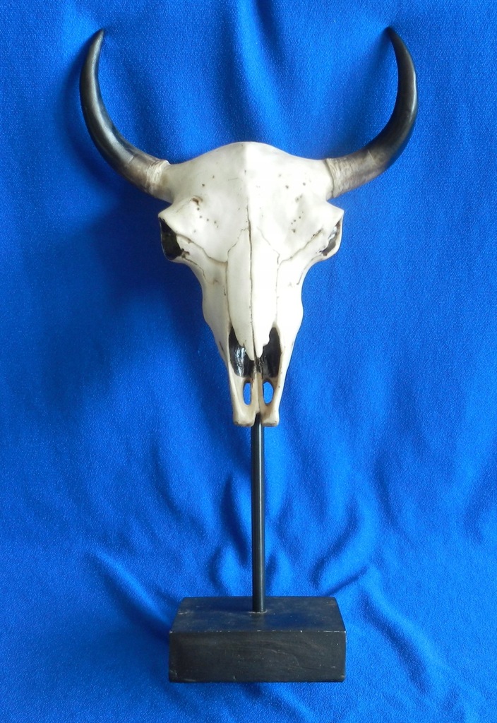 Czaszka zwierzęca rogi figura na podstawie 45cm - 12444956351 - oficjalne archiwum Allegro