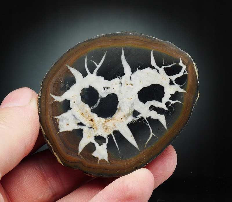 SEPTARIA - wspaniały rysunek - MAROKO /bh064 - 13031506388 - oficjalne ...