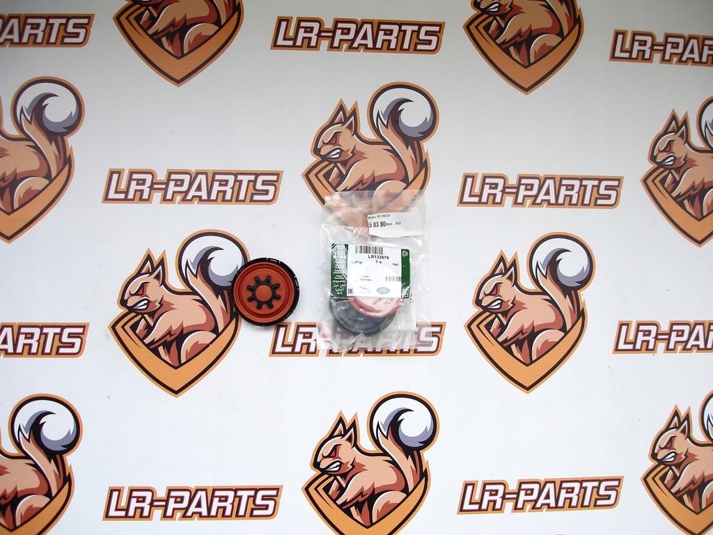 ZESTAW NAPRAWCZY ODMY BENZYNA RANGE ROVER LR133579 - 13089788377 ...