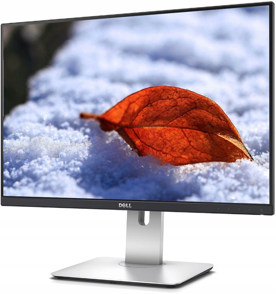 Biurowy Monitor Dell U2415 LED 1920x1080 Klasa A- - 13302094963 ...