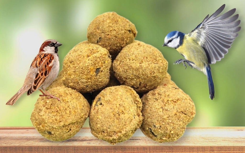 KULE TŁUSZCZOWE DLA PTAKÓW BEZ SIATKI W KARTONIE 5 - 13524942776 - oficjalne archiwum Allegro