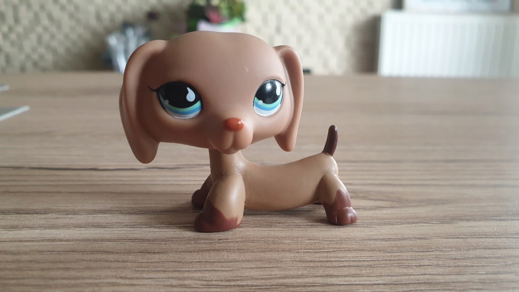 lps jamnik #1211 - UNIKAT Littlest Pet Shop - 11973812904 - oficjalne ... lps jamnik #1211 - UNIKAT Littlest Pet Shop - 11973812904 - oficjalne ...