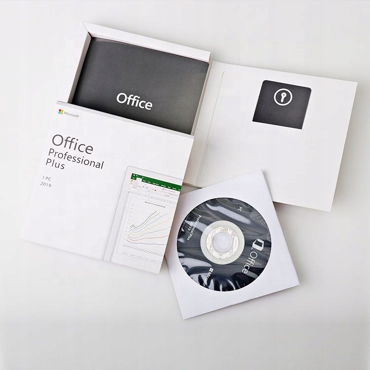 Microsoft Office 2019 Pro Plus Box DVD 1 PC / perpetual license BOX ...
