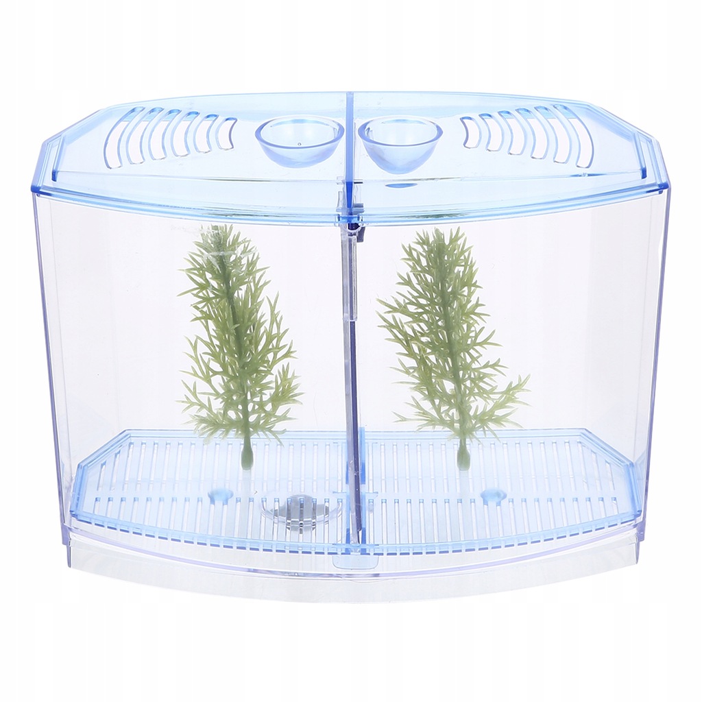 DESKTOP ACCESSORIES BETTA BOX FISH BREEDING TANK - 13515687013 ...