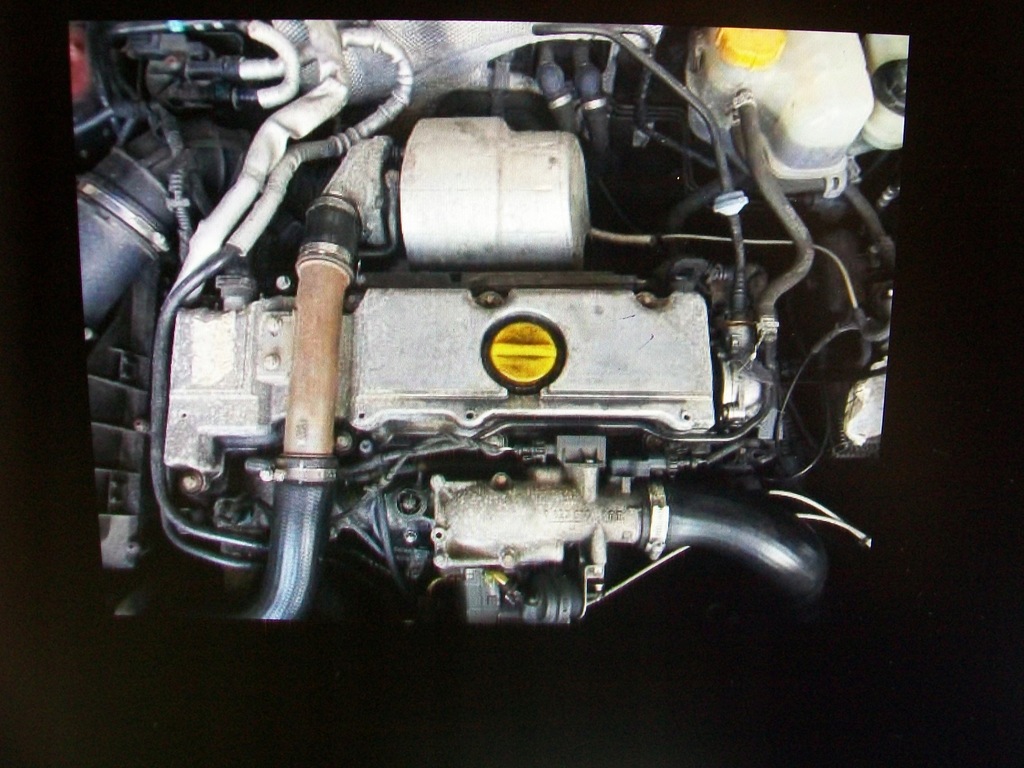 SILNIK JAK NOWY VECTRA C ZAFIRA I 2.2 DTI Y22DTR - 12459648726 ...