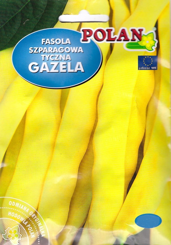 Fasola tyczna wczesna typu mamut GAZELA 15g nasion - 12822018881 ...