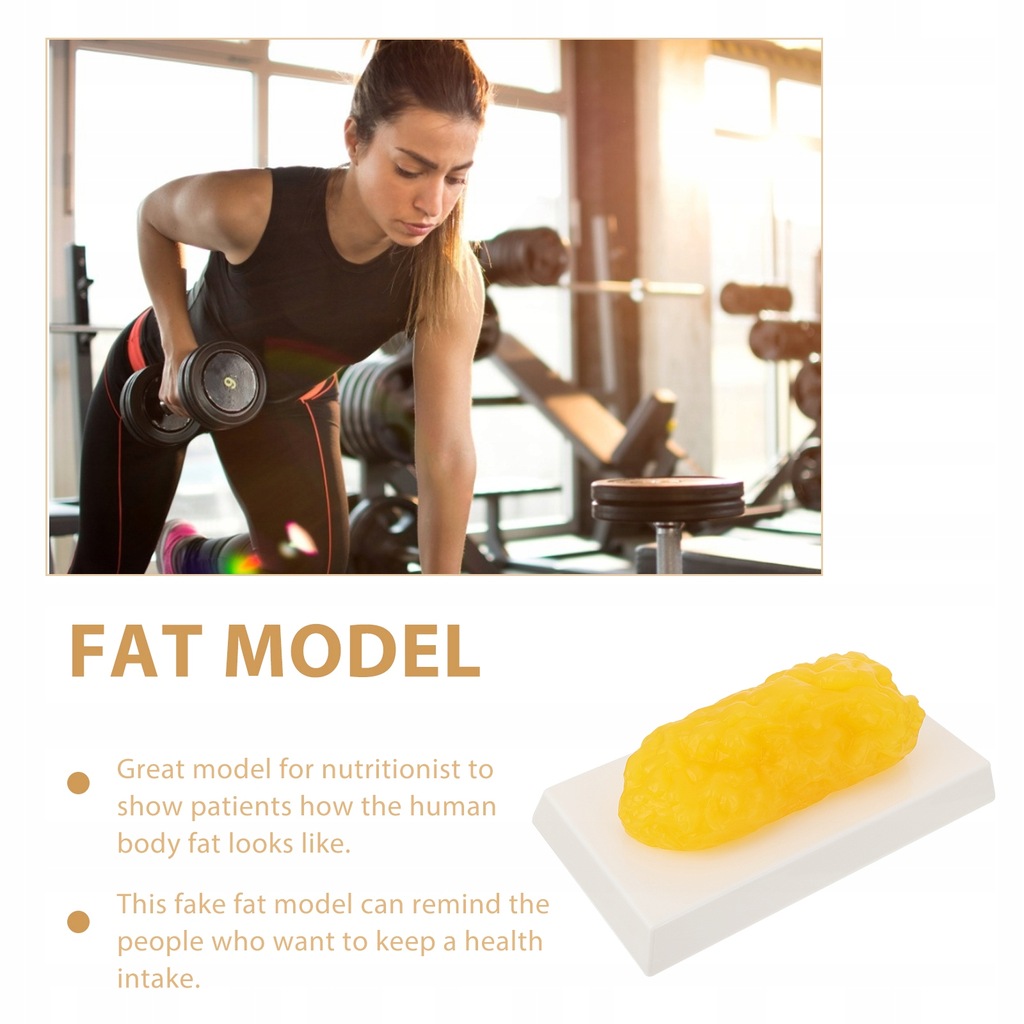 Human Body Fat Replica 1 Pound Fat Model Fat Anato - 10934547511 ...
