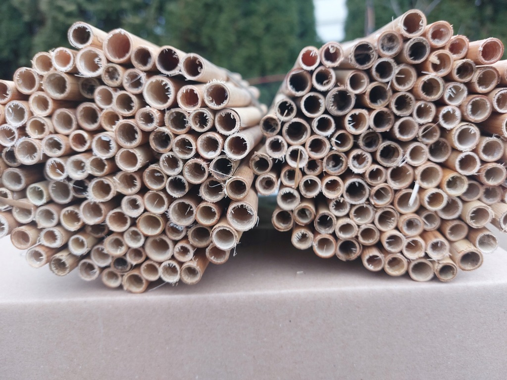 RURKI 25CM trzcina pszczola murarka ROGATA - 13156813858 - oficjalne ...