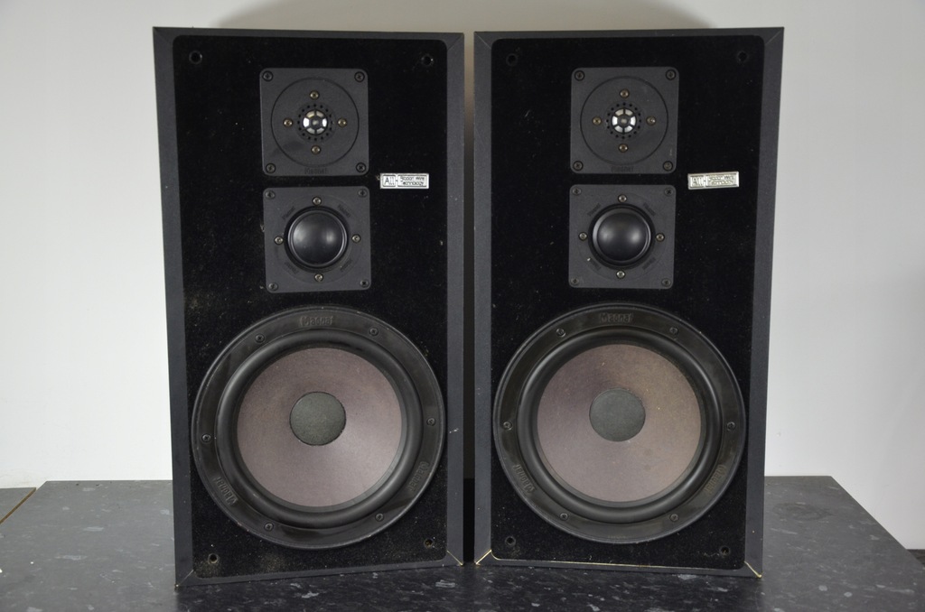 SOLIDNE KOLUMNY MAGNAT ALL-RIBBON 6 SUPER OKAZJA - 14545306185 ...