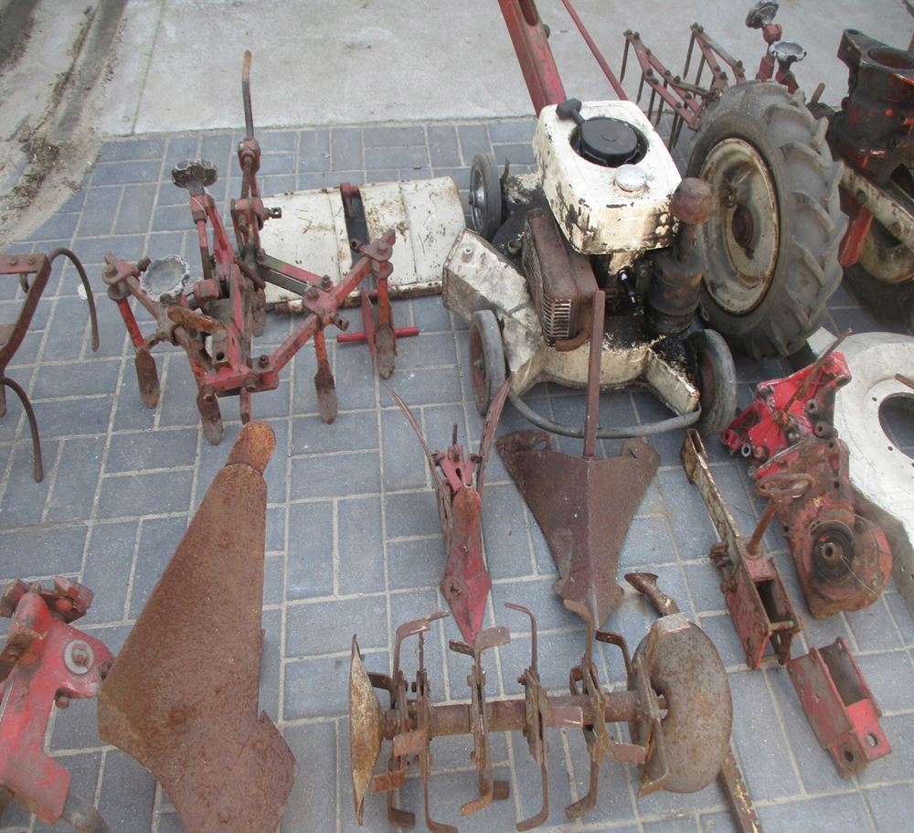 TRAKTOREK JEDNOOSIOWY DZIK GLEBOGRYZARK TERRA VARI - 12558095909 ...