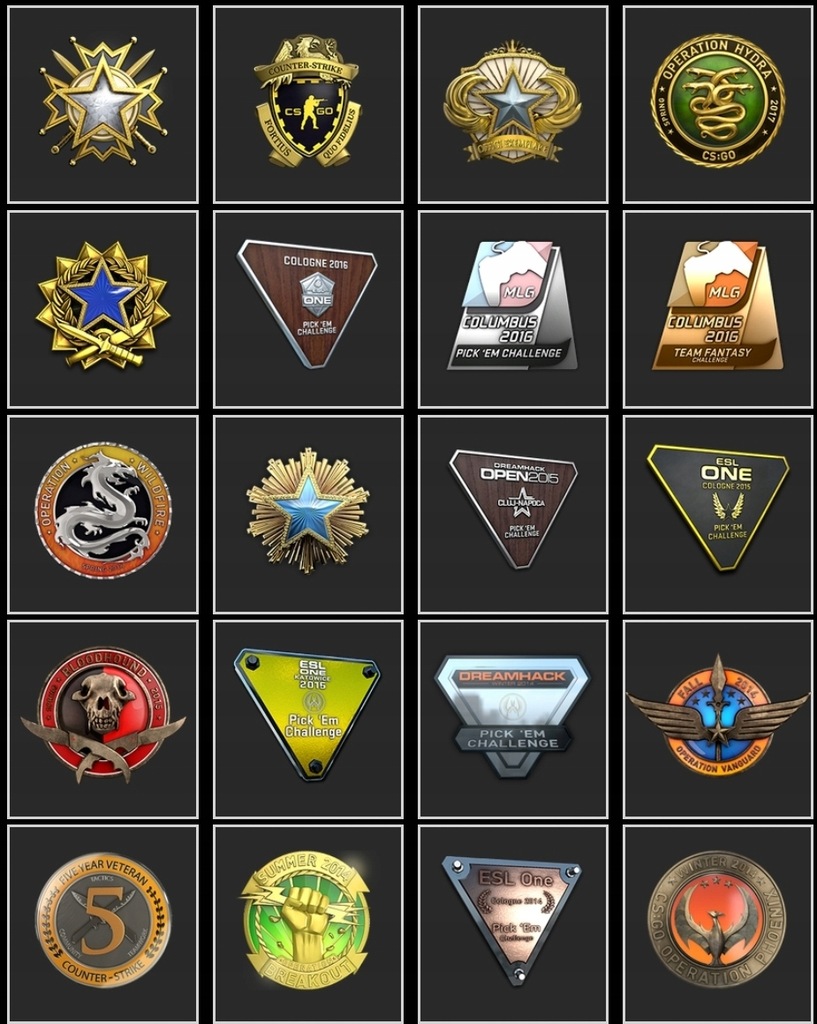 Купить Аккаунт Steam CS:GO-Rank: LEM | СКИНЫ | САМОСТОЯТЕЛЬНО: отзывы ...