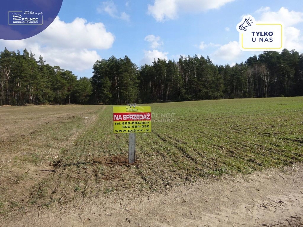 Działka, Jarzyły, Sypniewo (gm.), 2600 m² - 13433750903 - oficjalne ...