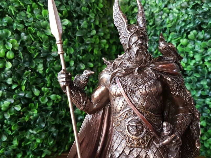 NORDYCKI BÓG ODYN VERONESE (WU75357A4) - 11442567225 - oficjalne ...