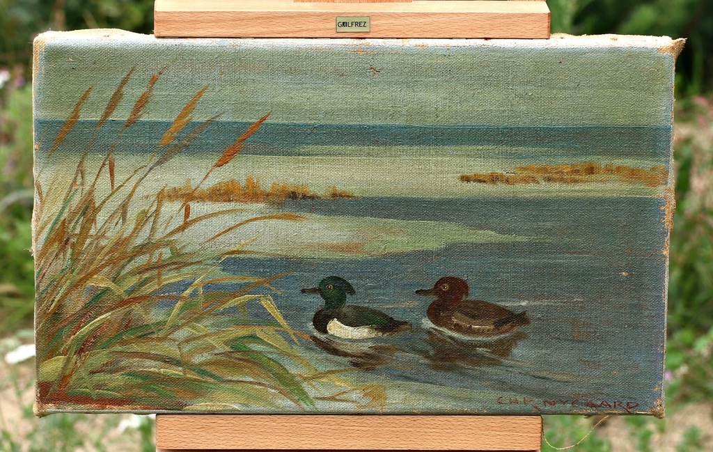 CHRISTIAN NYGAARD - KACZKI NA WODZIE OBRAZ OLEJNY - 13093378246 ...