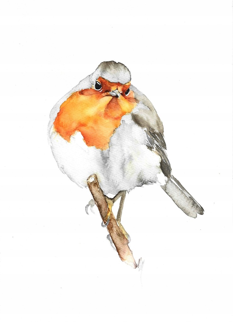 rudzik, akwarela, oryginał, ptaki Polski - 13307929049 - oficjalne ...