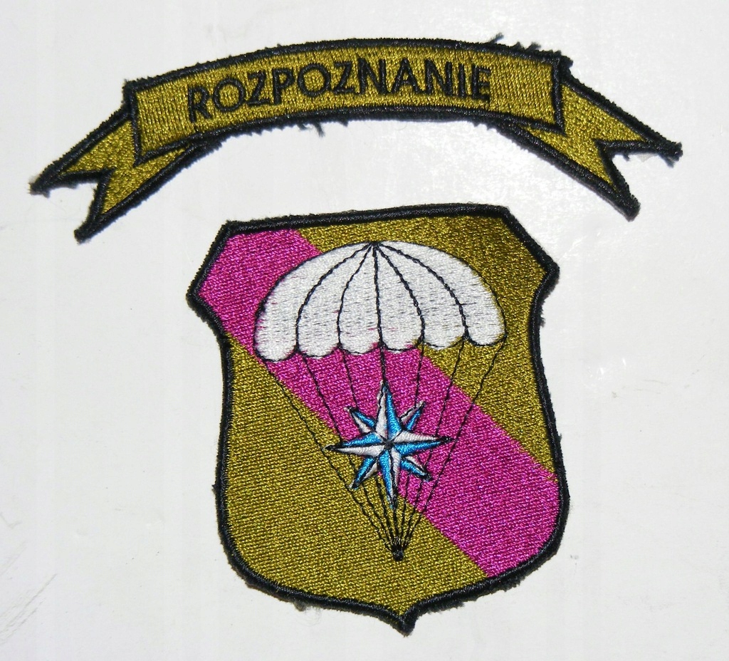 WP NASZYWKA KOMPANIA ROZPOZNANIA 4 BIESZCZADZKI PUŁK ZMOTORYZOWANY ...