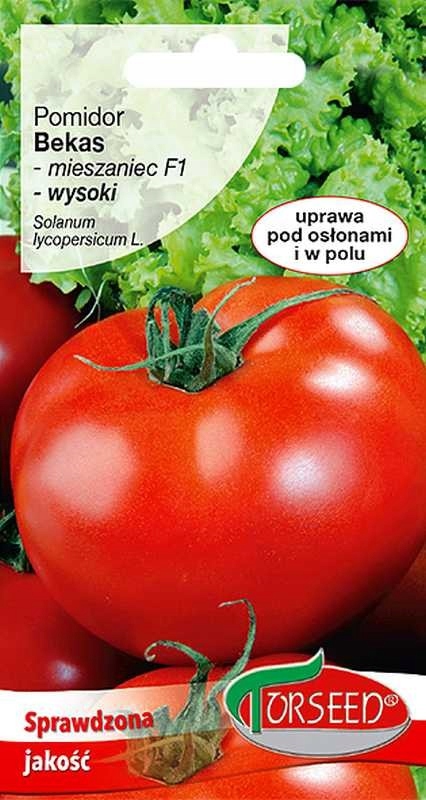 Pomidor pod osłony Bekas F1 0,1g TORSEED - 13153454389 - oficjalne archiwum Allegro