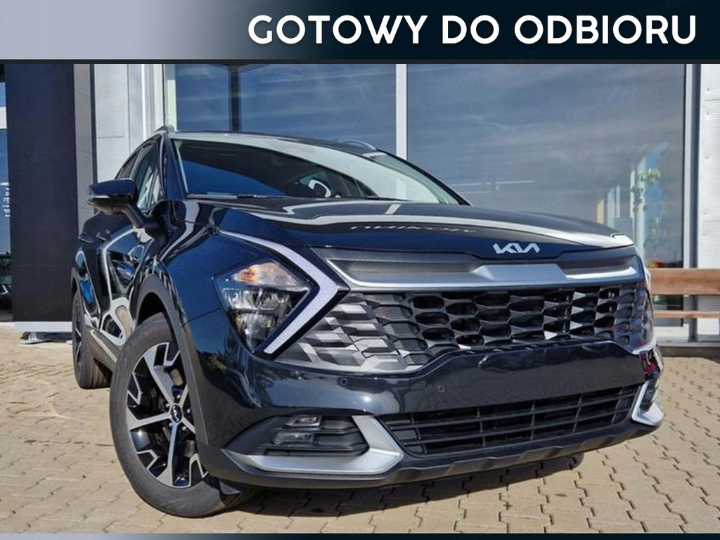 Kia Sportage 1.6 T-GDI mHEV Business Line 2WD DCT Suv 180KM 2024 - 15154408766 - oficjalne ...