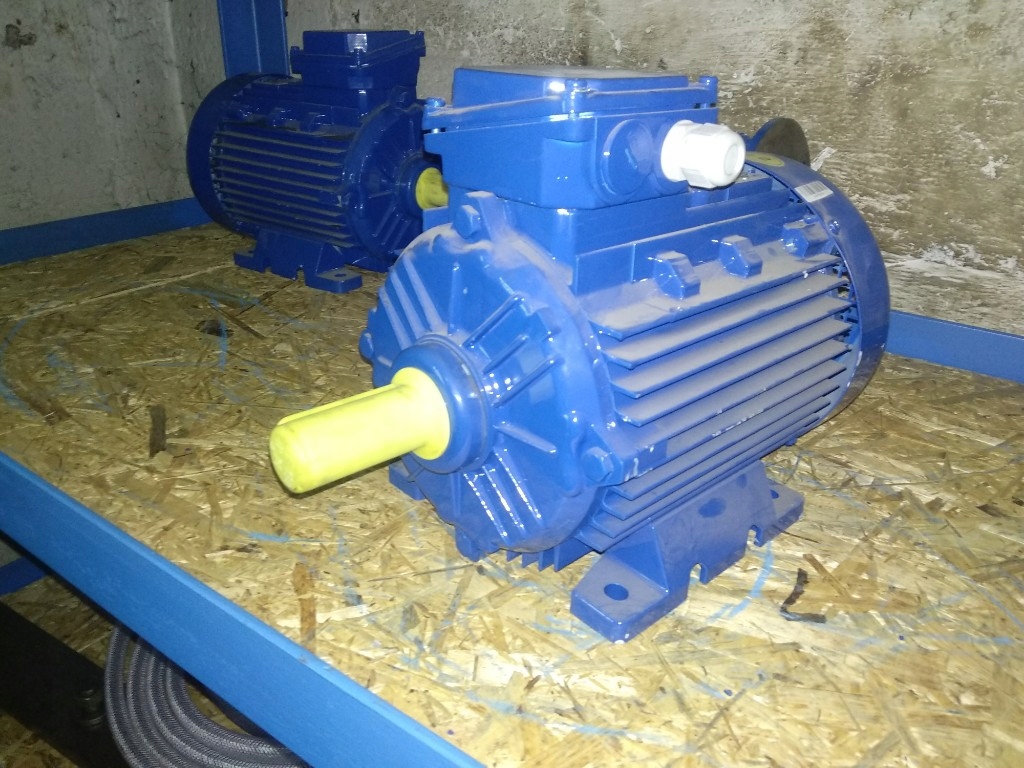 Silnik elektryczny Celma Indukta 3 kW - 7982432765 - oficjalne archiwum Allegro