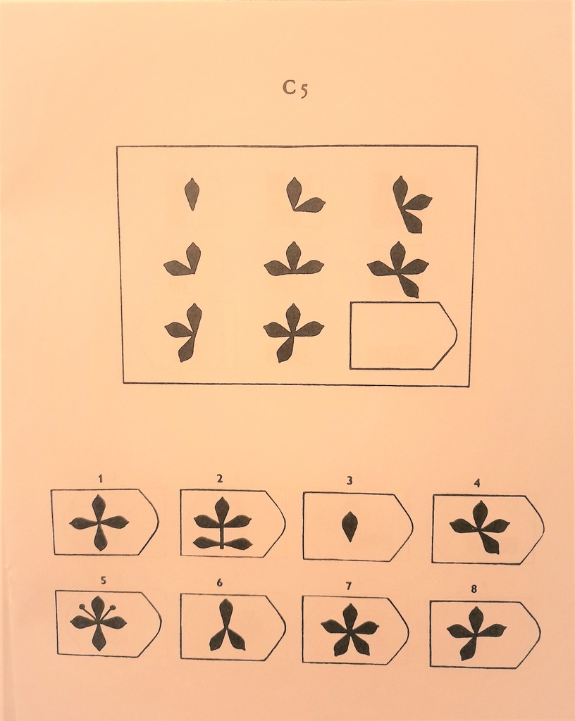 TESTY MATRYCE RAVENA TEST RAVEN - 11995258276 - oficjalne archiwum Allegro