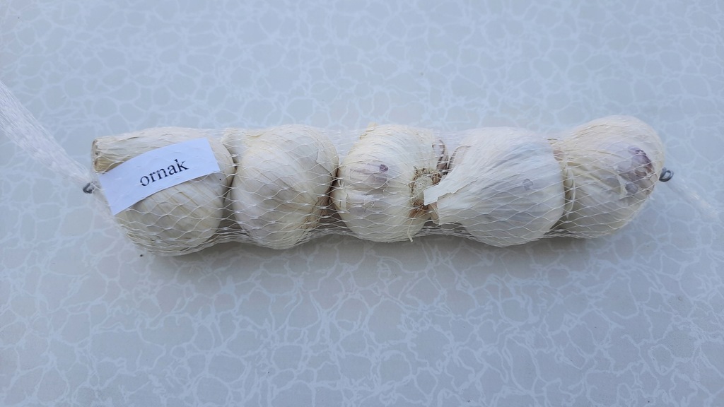 Czosnek polski ORNAK EKO siatka 5 sztuk 5 - 6 cm - 12579189840 ...