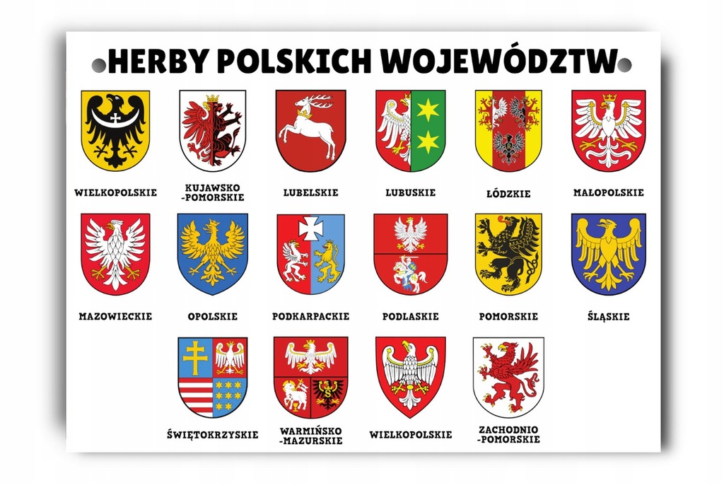 Tablica edukacyjna herby województw Polski A4 - 12198316650 - oficjalne ...