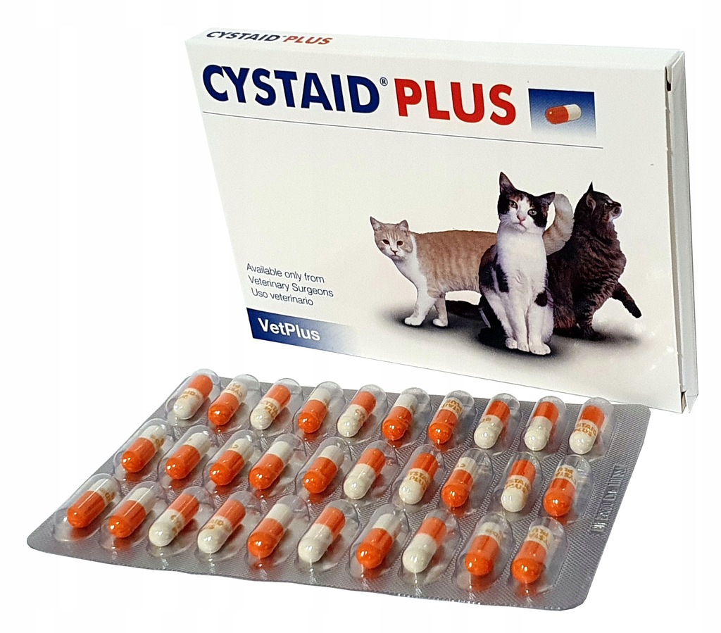 CYSTAID PLUS koty - pęcherz moczowy - 30 kapsułek - 10825922773 ...