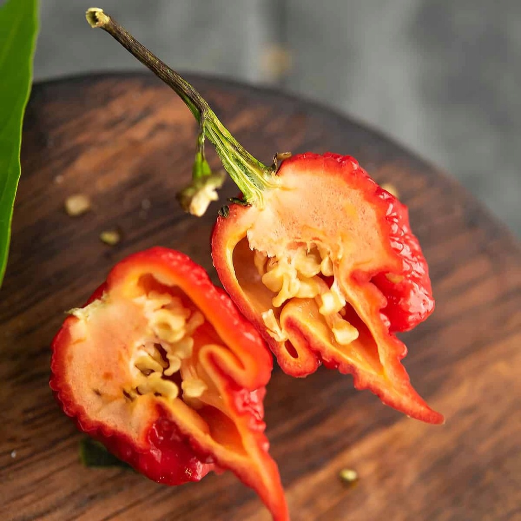 Купить Семена набора для выращивания растений Carolina Reaper HP22B Red ...