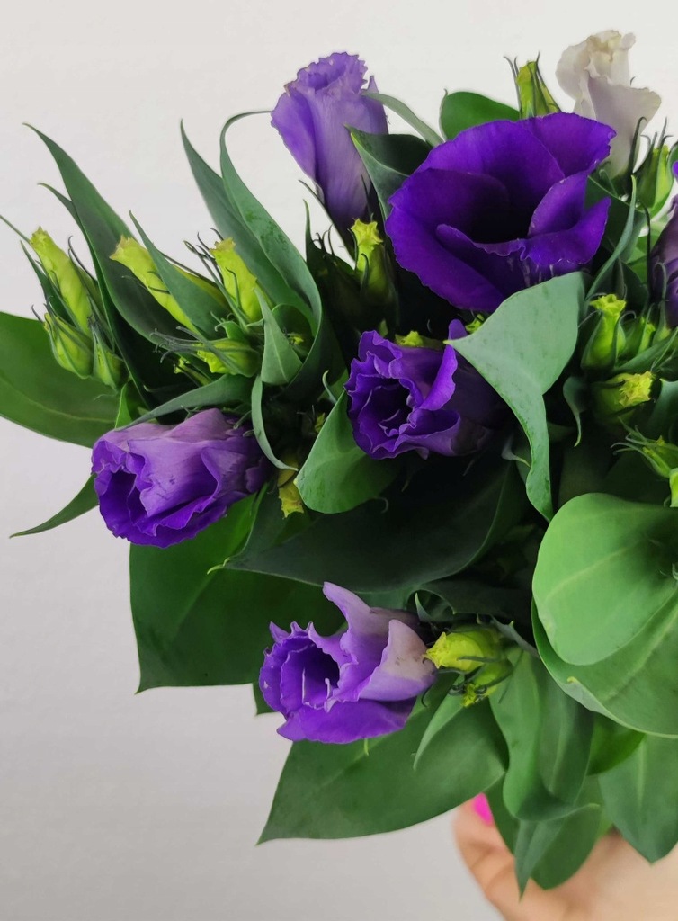 Eustoma Julietta Mix kolorów 1 sztuka 25-30 cm - 14051499715 ...