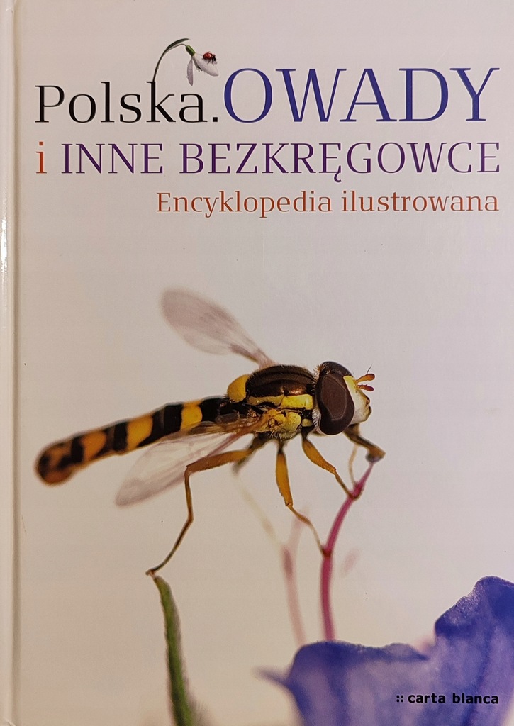 Polska Owady i inne bezkręgowce Encyklopedia... - 12793133872 ...