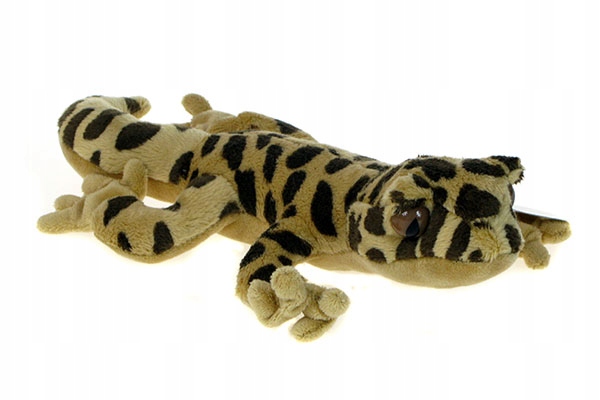 ZOO: maskotka jaszczurka Gekon 26cm 69706 - 12127476428 - oficjalne ...