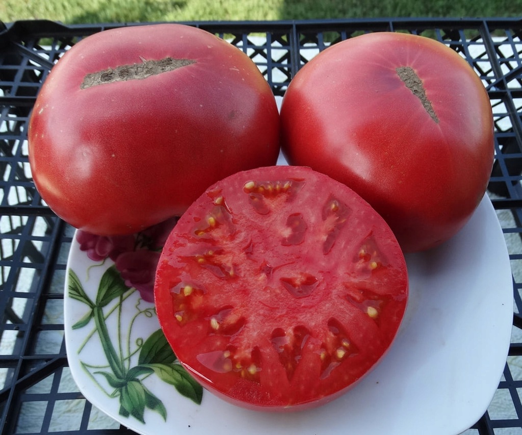 Pomidor Watermelon beefsteak malinowy - 13281818895 - oficjalne archiwum Allegro