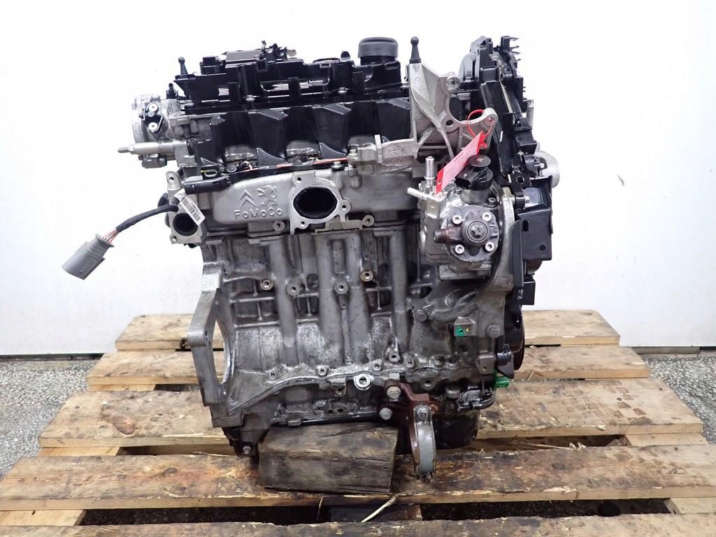 SILNIK XWDB C-MAX MK2 FOCUS MK3 1.5D 120KM 16R FV! - 13097150624 - oficjalne archiwum Allegro