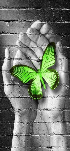 Naklejka ścienna szybę Green Butterfly motyl dłoń - 9610318745 ... Naklejka ścienna szybę Green Butterfly motyl dłoń - 9610318745 ...