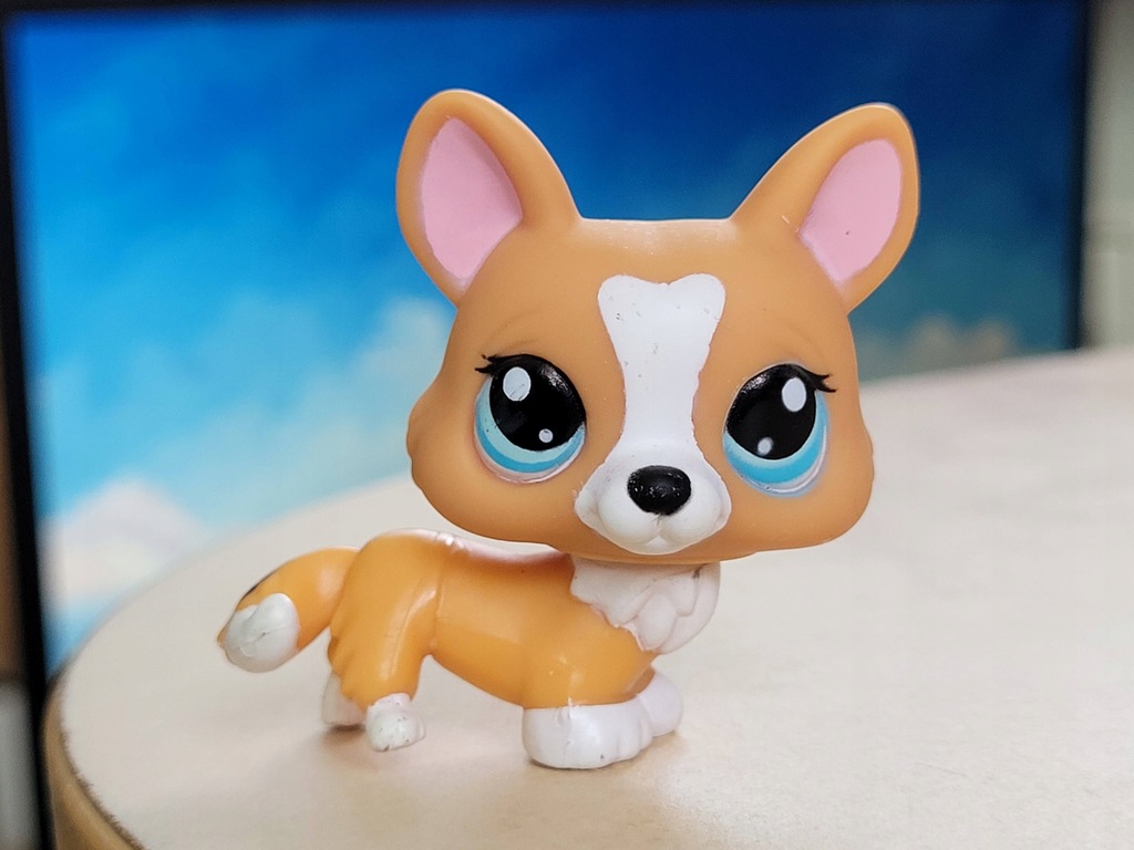 LPS Littlest Pet Shop pies piesek corgi #1360 - 12341613831 - oficjalne ...