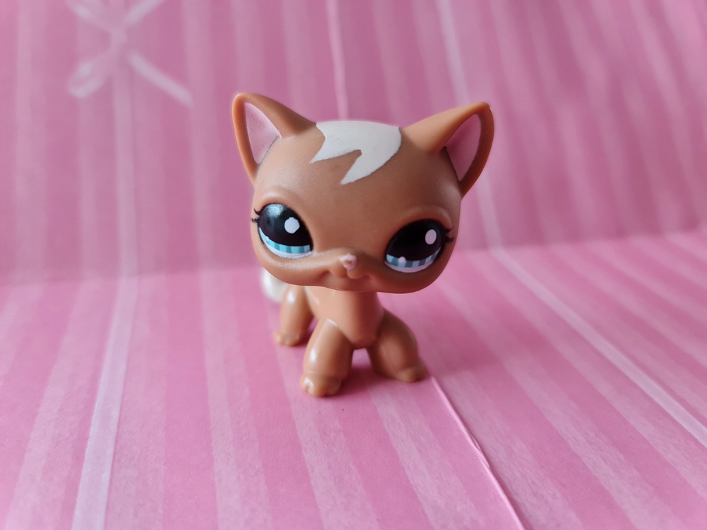 Littlest Pet Shop kot kotek Shorthair #1170 LPS - 12321063800 ...