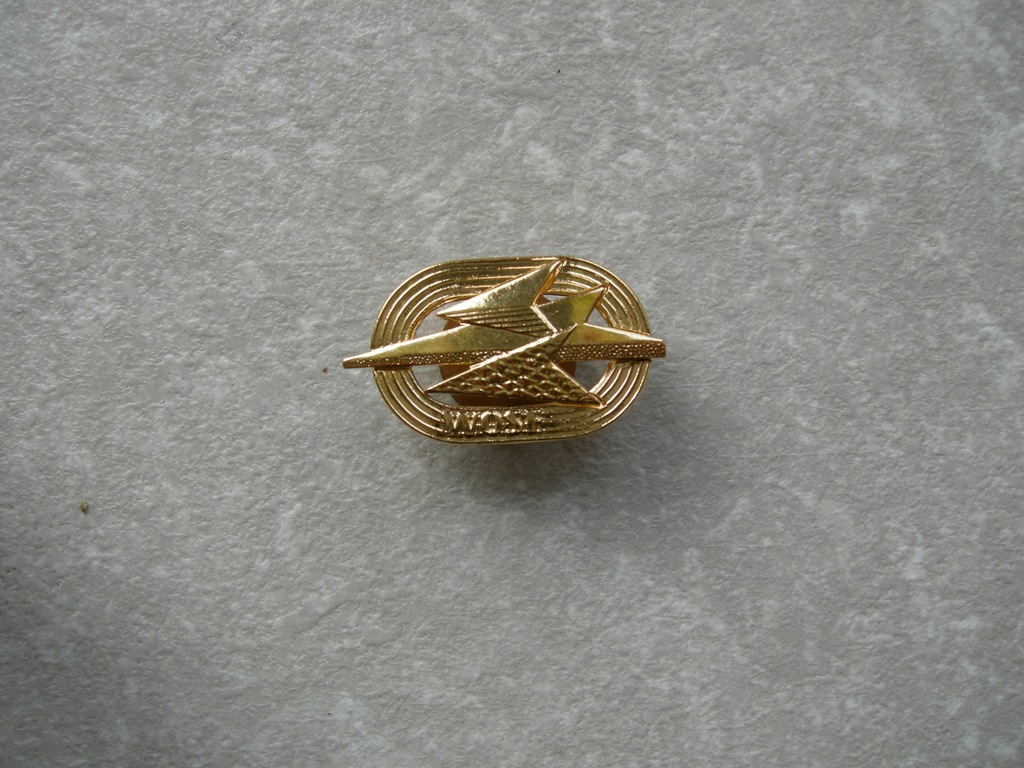 WOJSKOWA ODZNAKA SPRAWNOŚCI FIZ. WOSF ZŁOTA PRÓBA. - 9247188854 ...