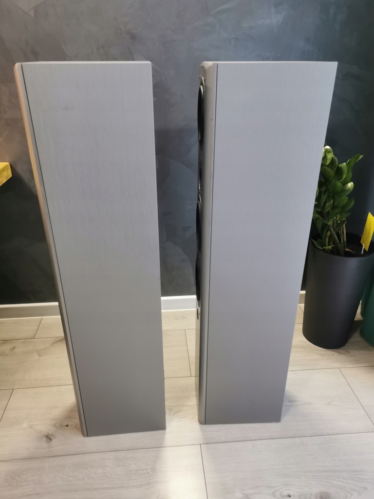 Kolumny Magnat Vector 77 Silver Millenium Edition - 13540273051 ...