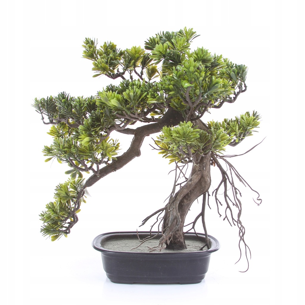 sztuczne drzewko BONSAI Podocarpus 40 cm bonzai - 10430139555 ...