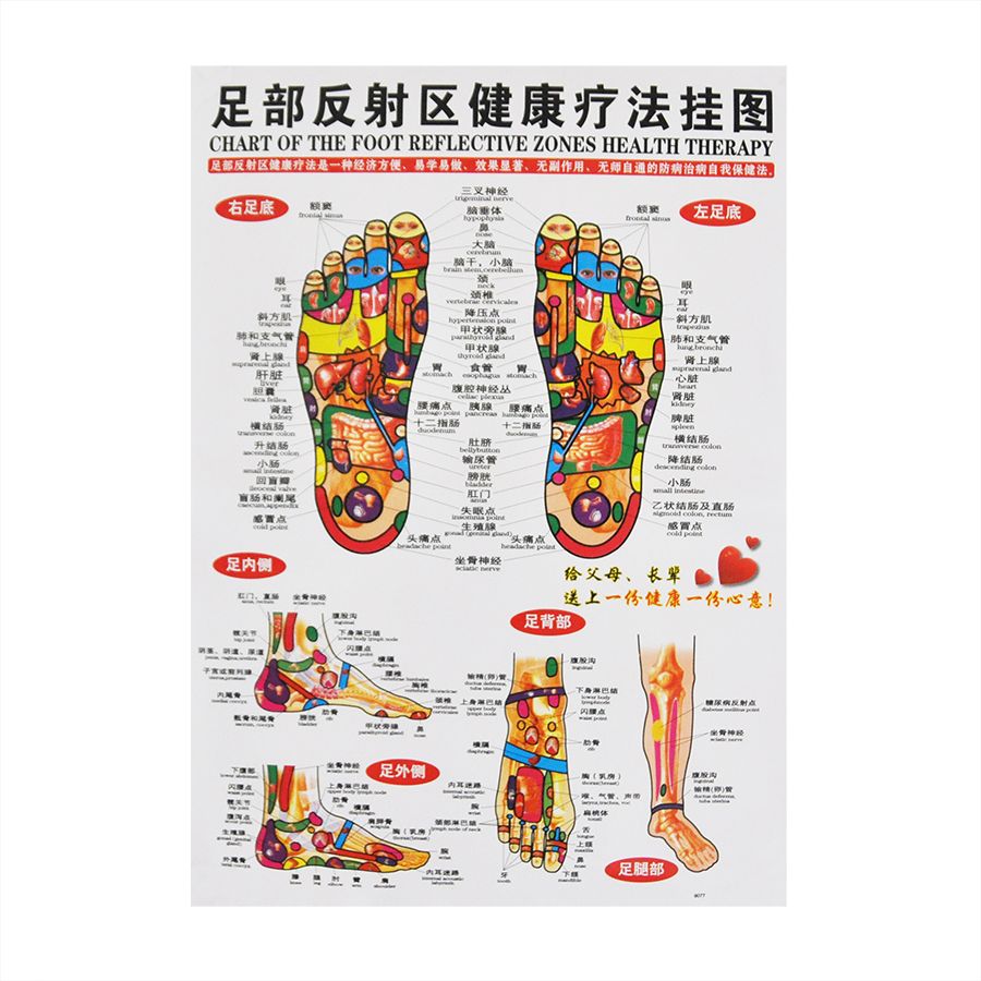 PLAKAT STOPY 63x45cm AKUPUNKTURA I AKUPRESURA STÓP - 10083411754 ...