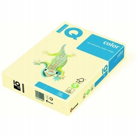 PAPIER MAESTRO COLOR A4/160 G PASTEL WANILIOWY (25 - 11452990831 ...