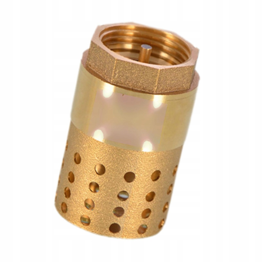 Water Pump Bottom Valve Water Pressure Pumps Check Valve DN25 With ...