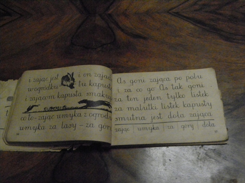 Stary elementarz Falskiego - 7901921146 - oficjalne archiwum Allegro