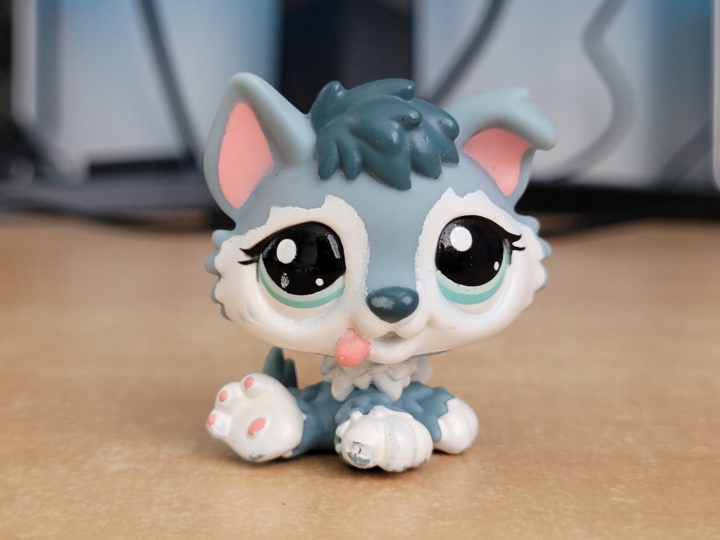 LPS Littlest Pet Shop pies piesek husky #2036 - 12489224028 - oficjalne ...
